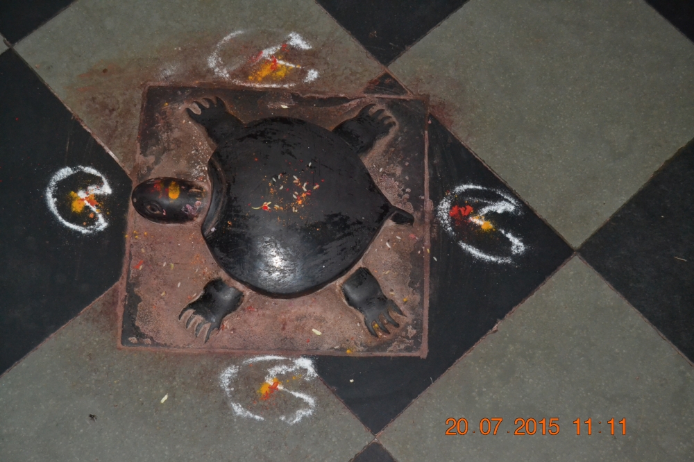 WhatsApp Facebook Twitter LinkedIn Email